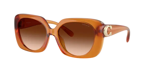 COACH Sunglasses - Brown Gradient