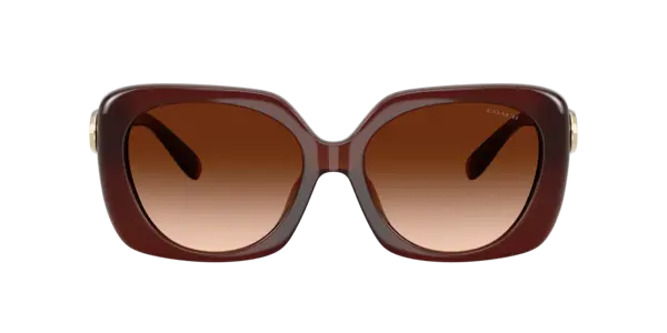COACH Black Oversized Sunglasses - Brown Gradient
