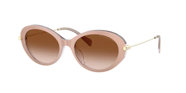 Michael Kors Rockaway Sunglasses - Light Brown Gradient