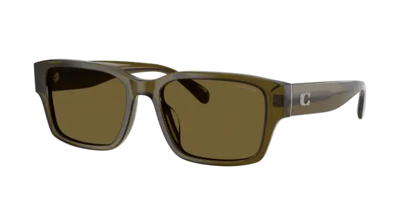 COACH Sunglasses - Green Solid