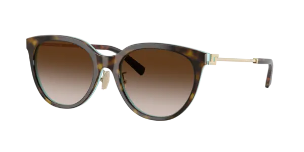 Tiffany & Co. Sunglasses - Brown Gradient