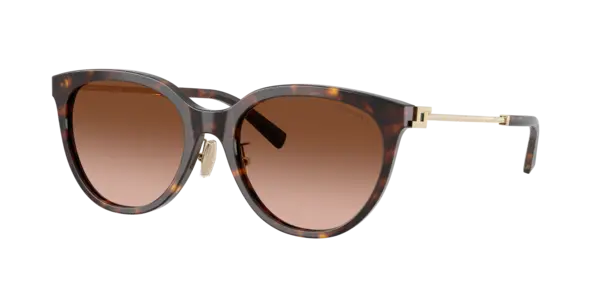 Tiffany & Co. Sunglasses - Brown Gradient