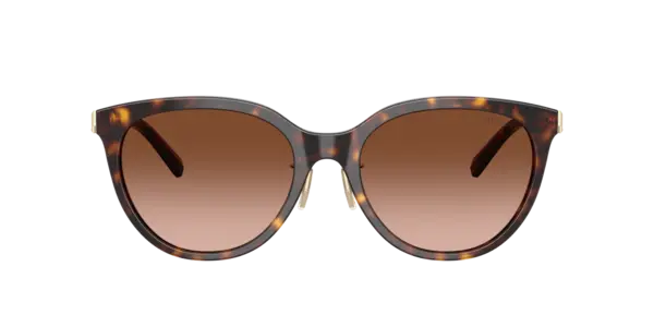 Tiffany & Co. Sunglasses - Brown Gradient