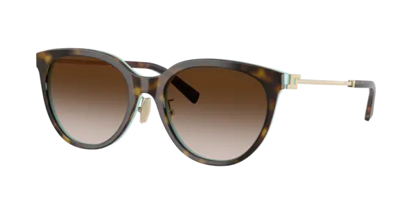 Tiffany & Co. Sunglasses - Brown Gradient