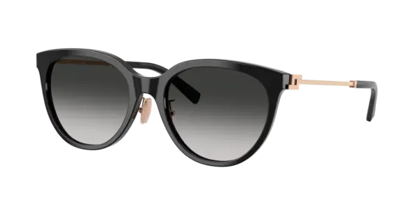 Tiffany & Co. Sunglasses - Grey Gradient