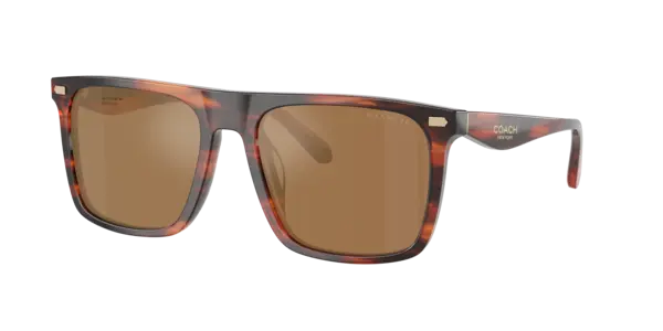 COACH Sunglasses - Brown Flash