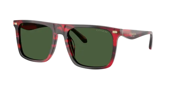 COACH Sunglasses - Green Solid
