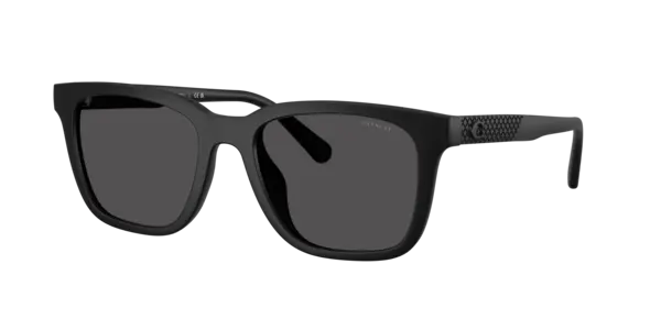 COACH Sunglasses - Grey Solid