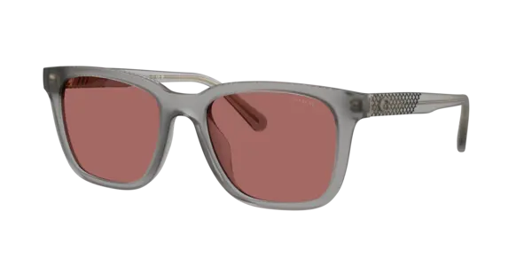 COACH Sunglasses - Wine Solid
