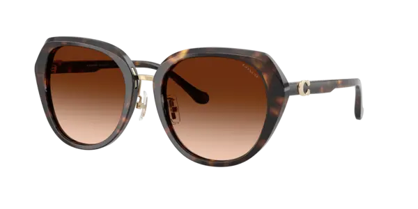 COACH Cat Eye Sunglasses - Brown Gradient
