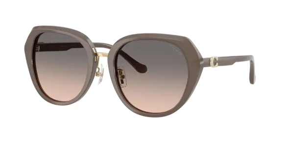 COACH Sunglasses - Grey Sand Gradient
