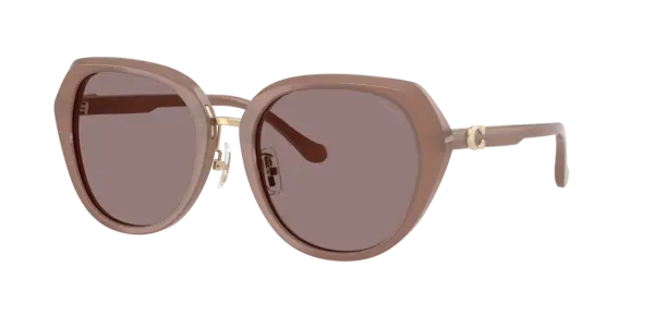 COACH Sunglasses - Purple Solid