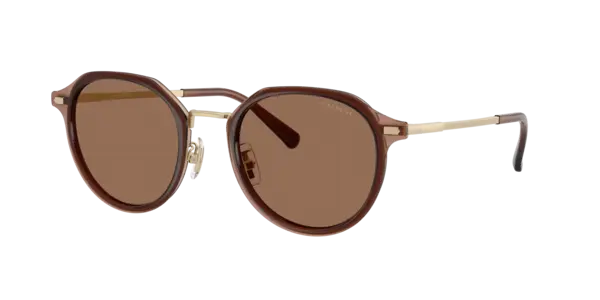 COACH Sunglasses Hc7183 Cbz97 - Brown Solid