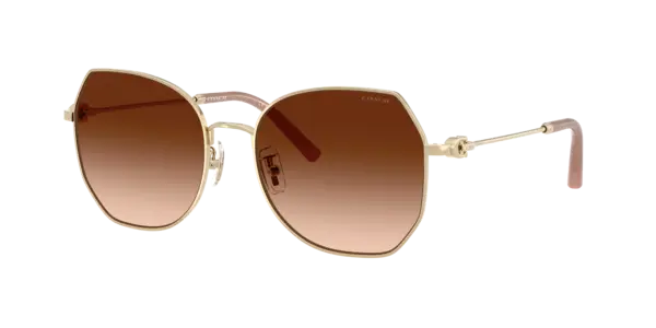 COACH Octagon Frame Sunglasses - Brown Gradient