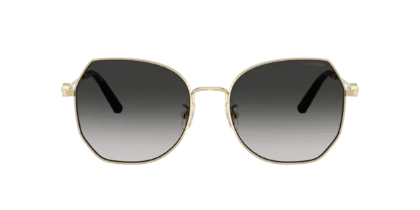COACH Octagon Frame Sunglasses - Grey Gradient