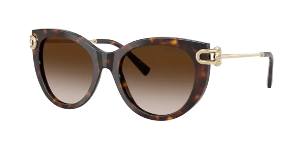 Tiffany & Co. Sunglasses - Brown Gradient