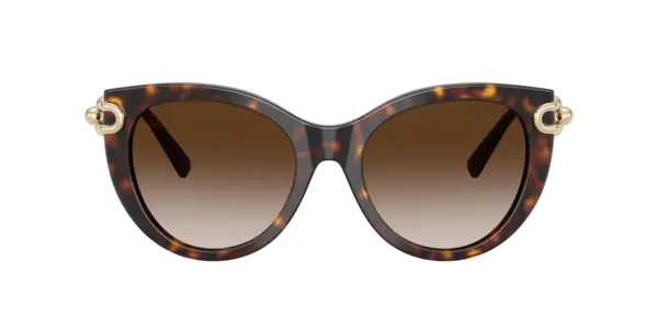 Tiffany & Co. Sunglasses - Brown Gradient