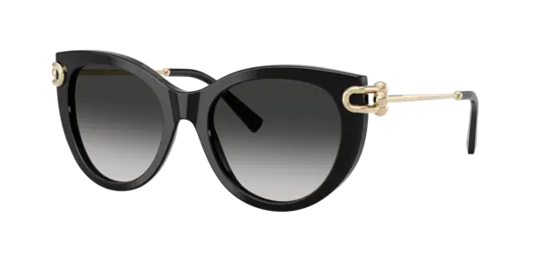 Tiffany & Co. Sunglasses - Gray Gradient