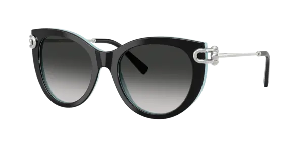 Tiffany & Co. Sunglasses - Grey Gradient