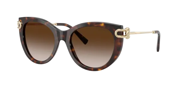 Tiffany & Co. Sunglasses - Brown Gradient