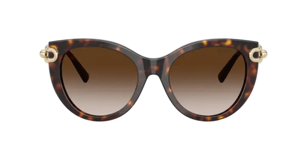 Tiffany & Co. Havana Sunglasses - Brown Gradient