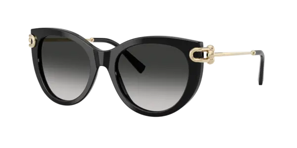 Tiffany & Co. Havana Sunglasses - Gray Gradient