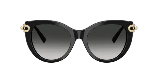 Tiffany & Co. Sunglasses - Gray Gradient