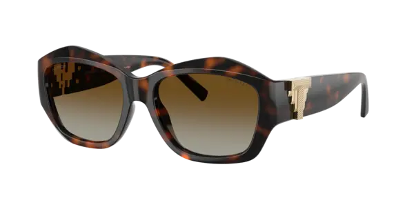 Tiffany & Co. Sunglasses - Polar Brown Gradient