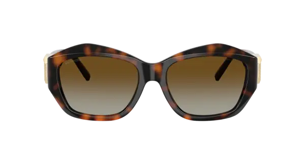 Tiffany & Co. Sunglasses - Polar Brown Gradient