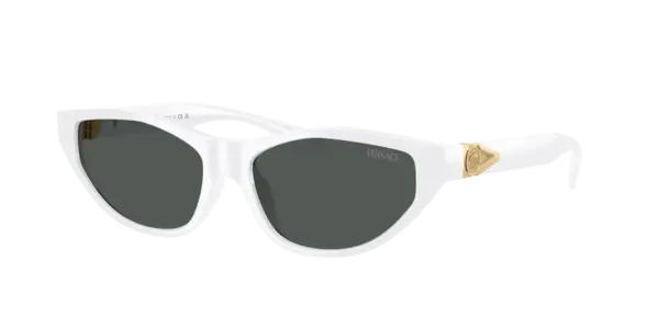 Versace Sunglass Ve4491u - Dark Grey
