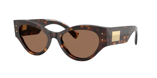 Dolce & Gabbana Sunglasses - Dark Brown