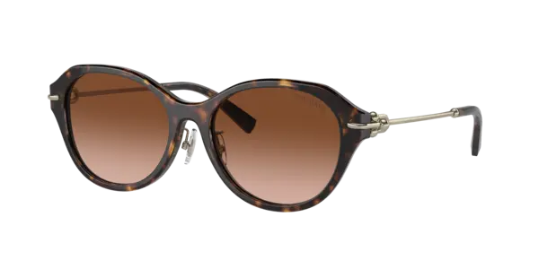 Tiffany & Co. Sunglasses - Brown Gradient