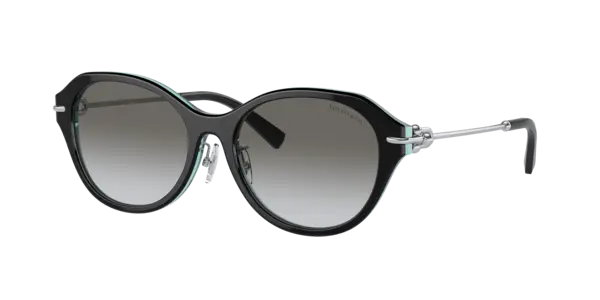 Tiffany & Co. Sunglasses - Grey Gradient