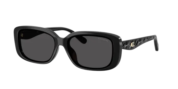 COACH Sunglasses - Grey Solid