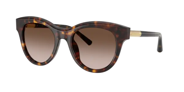 Dolce & Gabbana Sunglasses - Gradient Brown