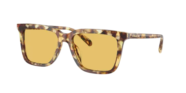 COACH Sunglasses - Amber Solid