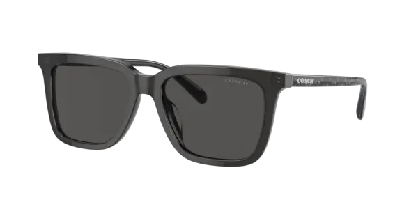 COACH Sunglasses - Grey Solid