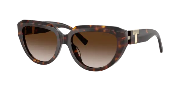 Tiffany & Co. Sunglasses - Brown Gradient