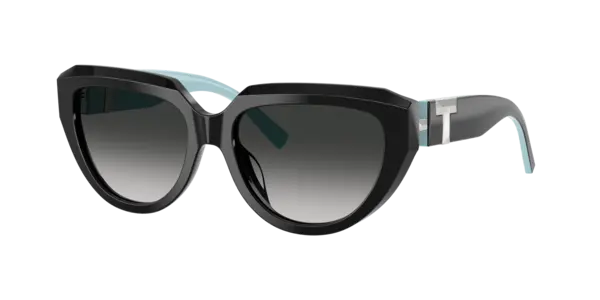 Tiffany & Co. Sunglasses - Grey Gradient