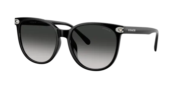 COACH Sunglasses - Grey Gradient