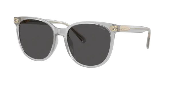 COACH Sunglasses - Grey Solid
