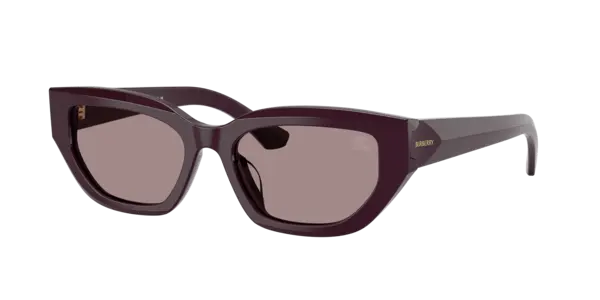 Burberry Sunglasses - Violet