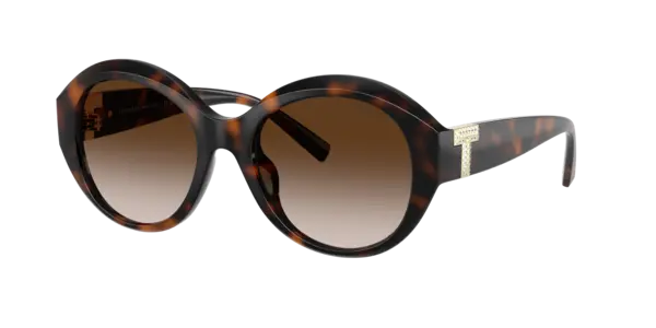 Tiffany & Co. Sunglasses - Brown Gradient