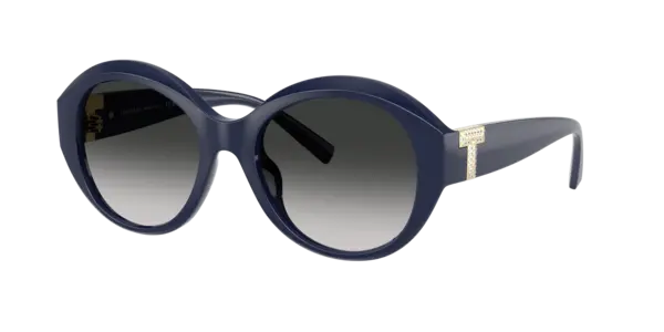 Tiffany & Co. Sunglasses - Grey Gradient