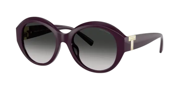 Tiffany & Co. Sunglasses - Grey Gradient
