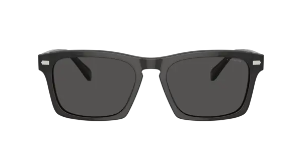 COACH Sunglasses - Grey Solid