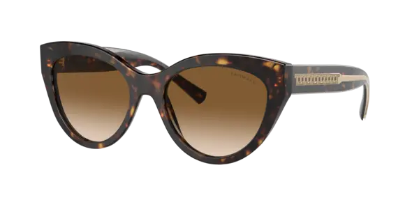 Tiffany & Co. Sunglasses - Clear Gradient Brown