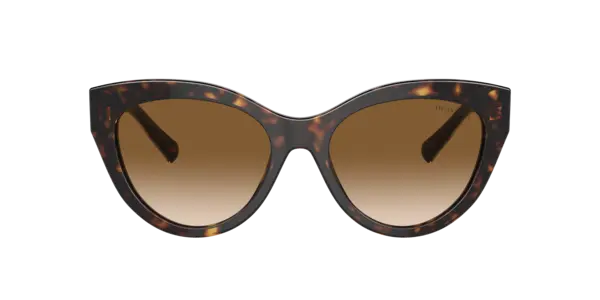 Tiffany & Co. Sunglasses - Clear Gradient Brown
