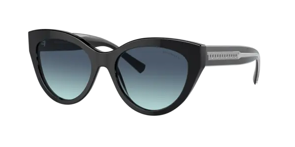 Tiffany & Co. Sunglasses - Grey Gradient