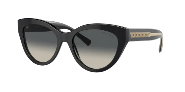 Tiffany & Co. Sunglasses - Grey Gradient
